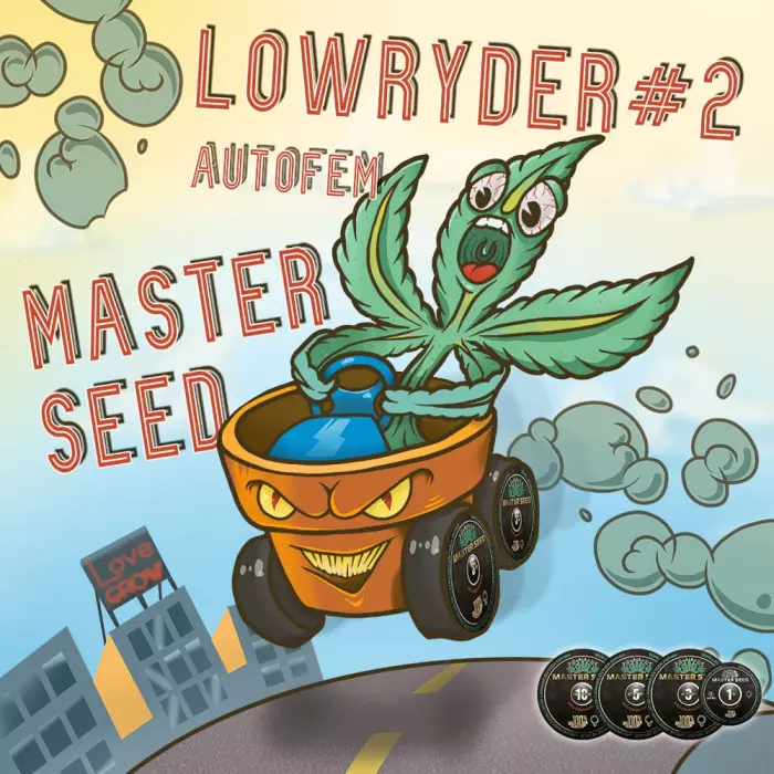 Купити насіння коноплі Lowryder#2 auto fem (MASTER SEED) - LOVE GROW