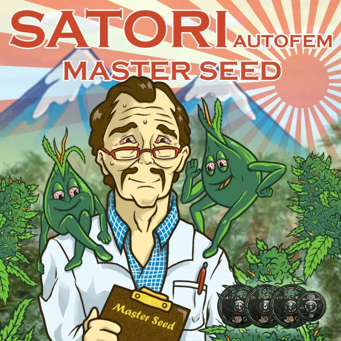 Купити насіння коноплі Satori auto fem (MASTER SEED)