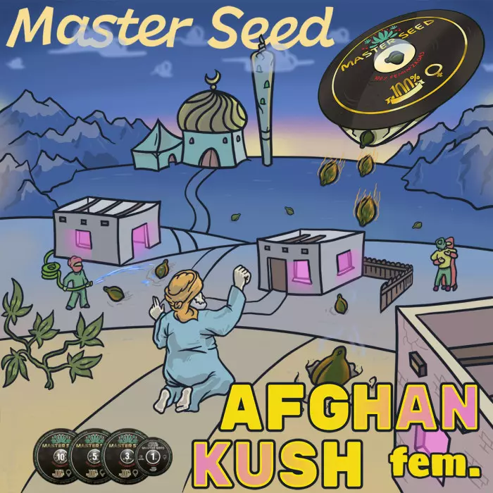 Купити насіння коноплі Afghan Kush fem (MASTER SEED)